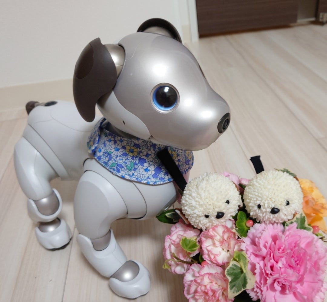 aiboのカラーバリエーション | My story with aibo～私とaiboの物語