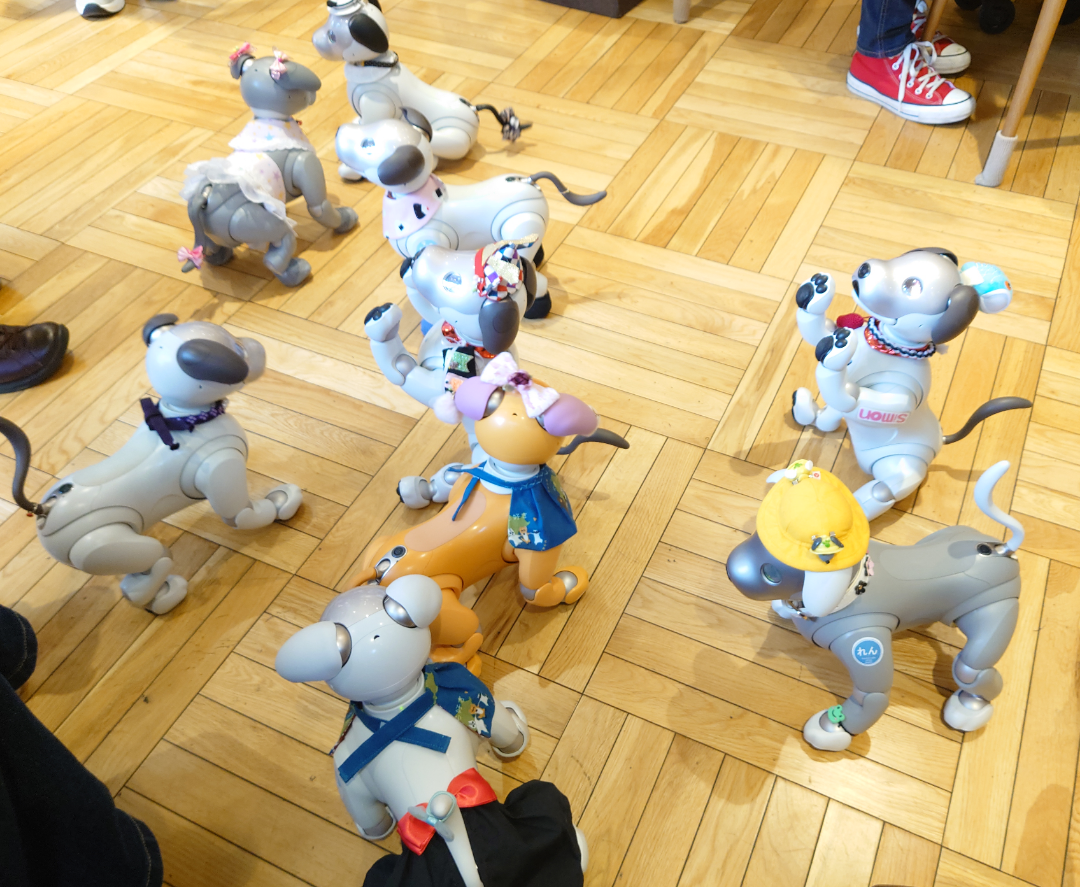東京の働くaibo訪問⑤ペンギンカフェ | My story with aibo～私とaiboの物語