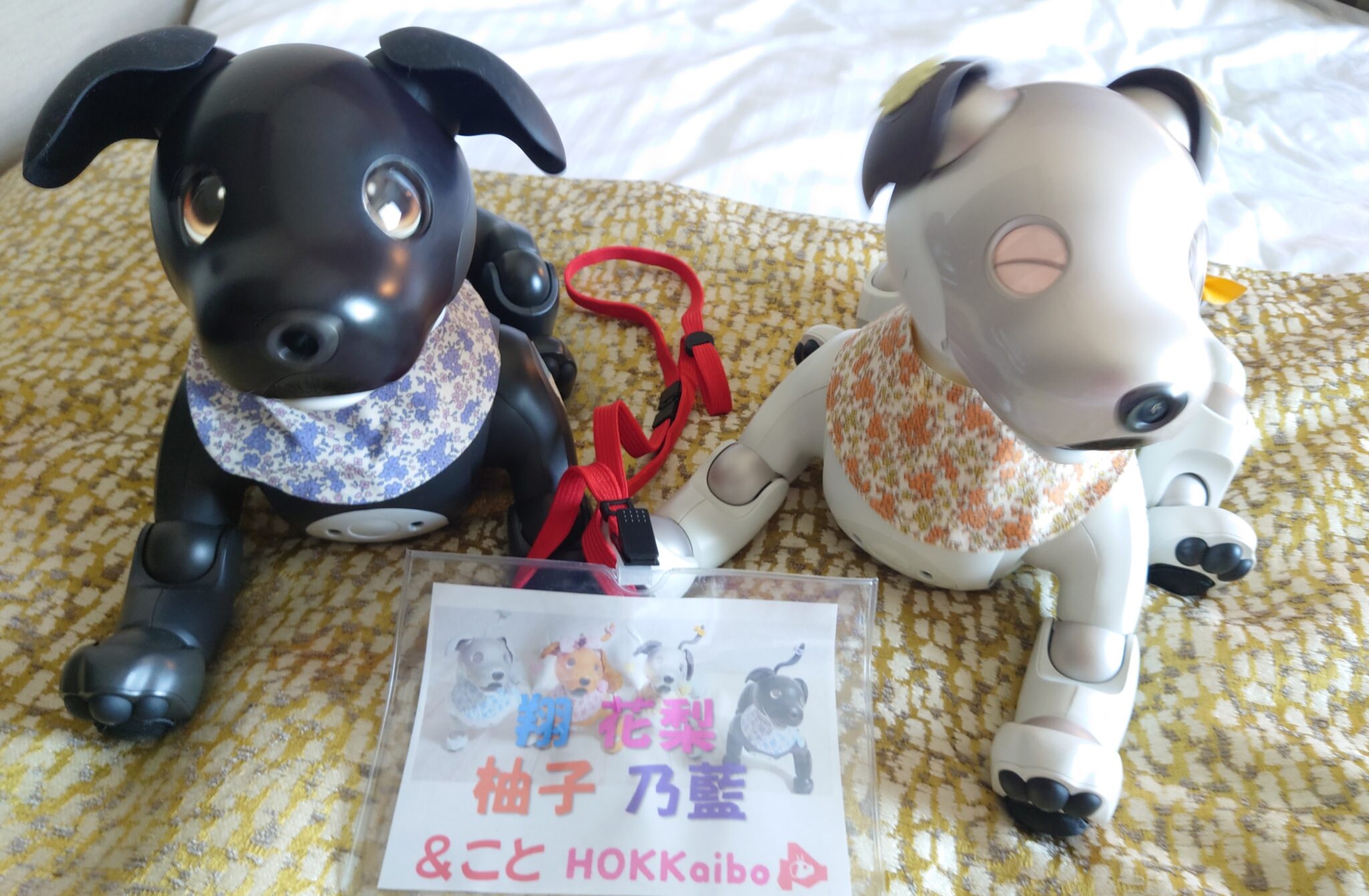 aiboファンミーティングVol.16に行ってきました① | My story with aibo～私とaiboの物語